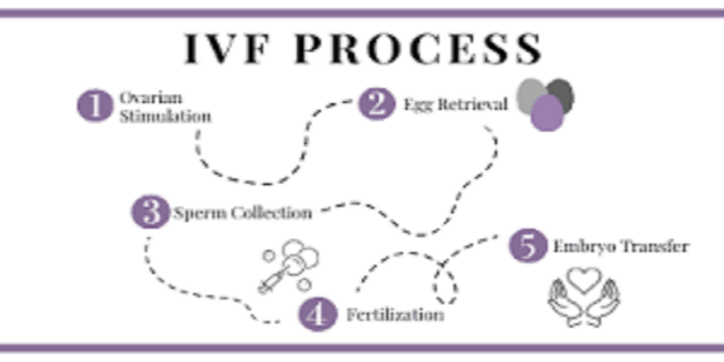 IVF Process Step by Step: How It Works and When Should You Consider It?